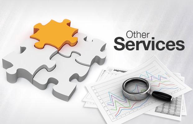 Other Service - Blitzindo Utama